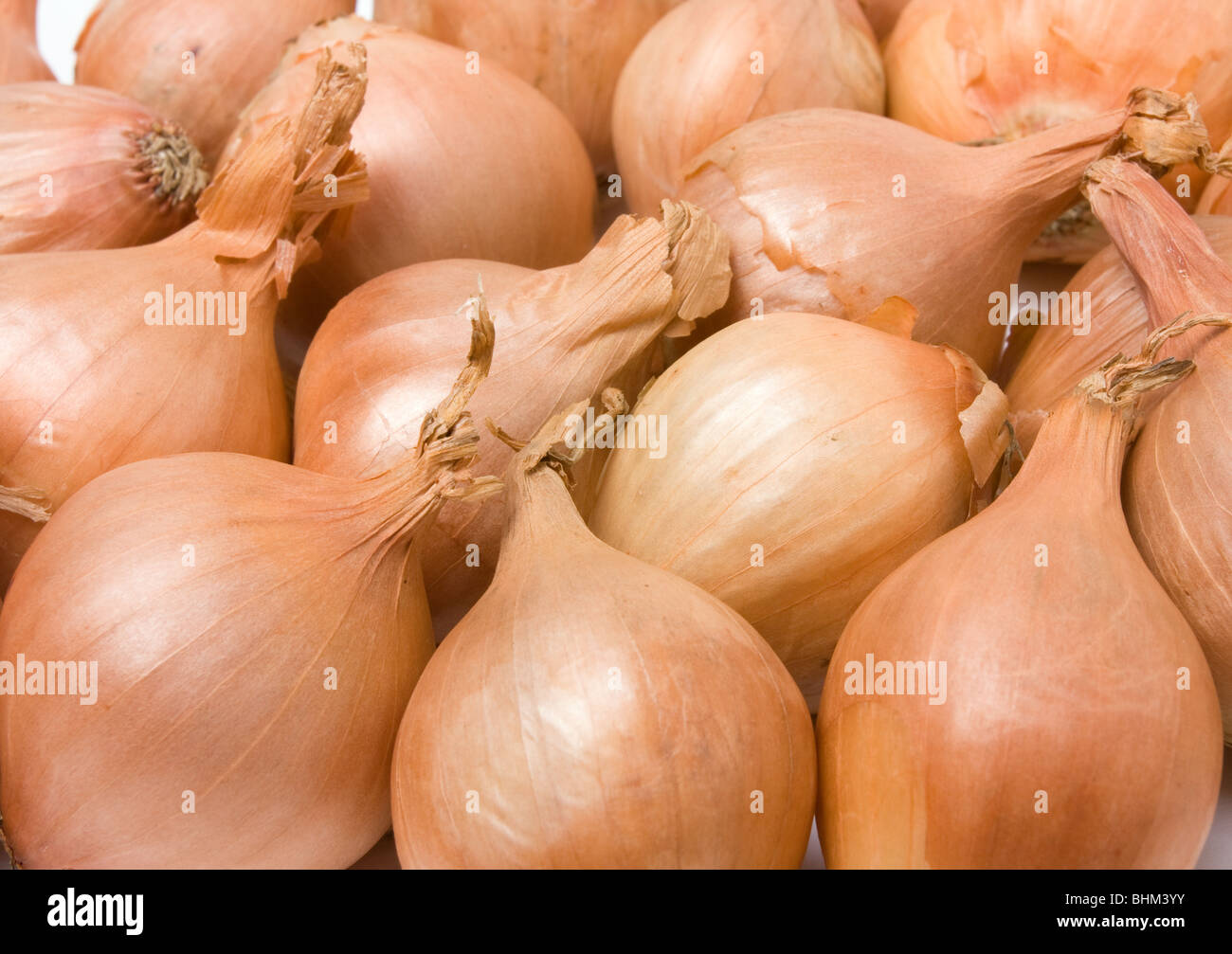 Shallot skins hi-res stock photography and images - Alamy