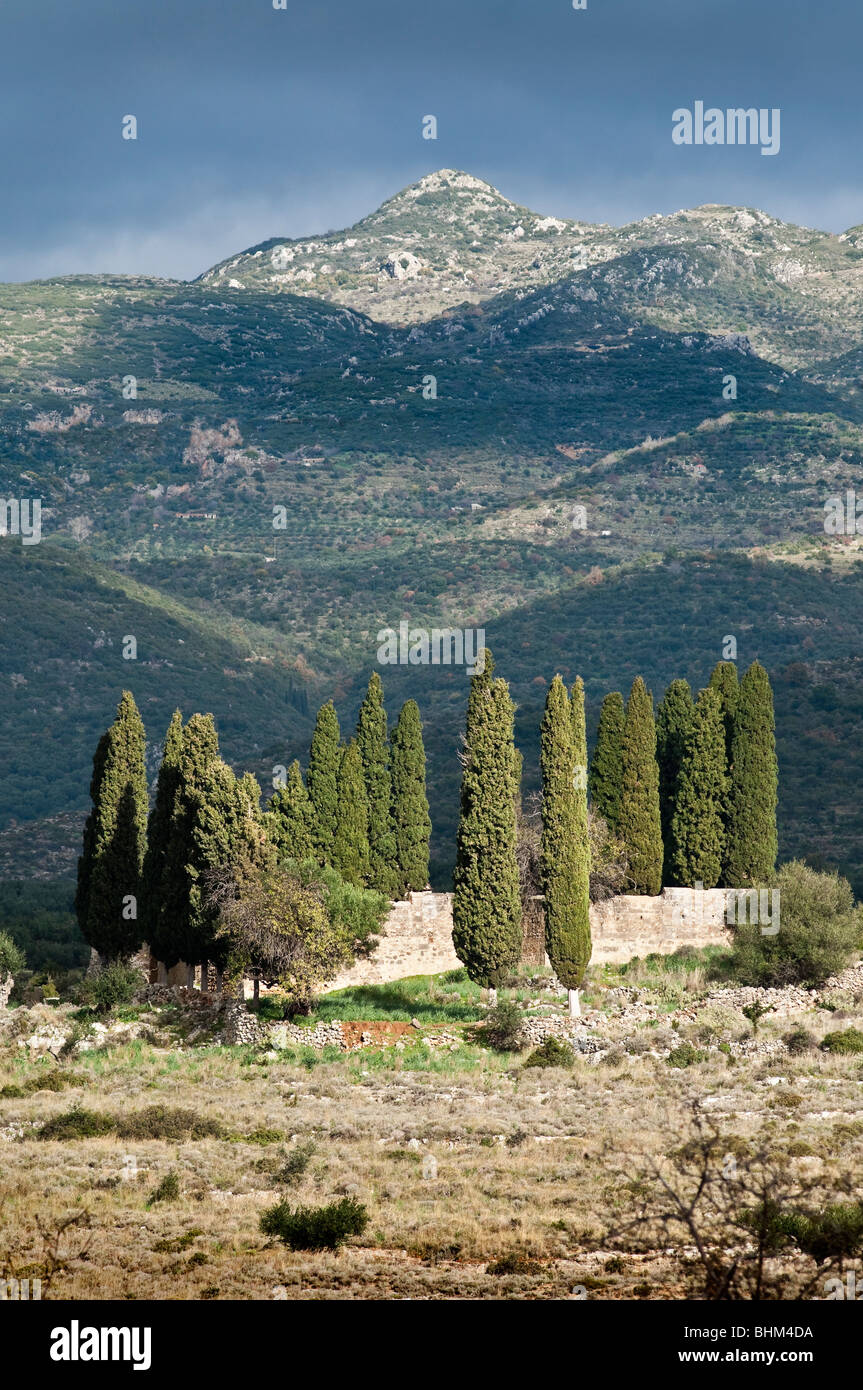 Greece cypress hi-res stock photography and images - Alamy