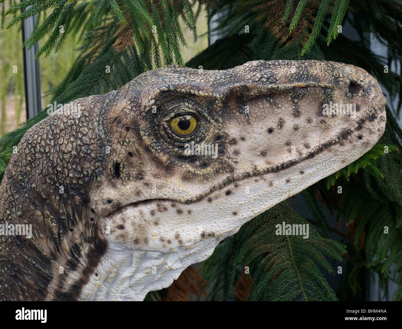 Realistic looking dinosaur model, natural history museum Boxtel, Noord ...