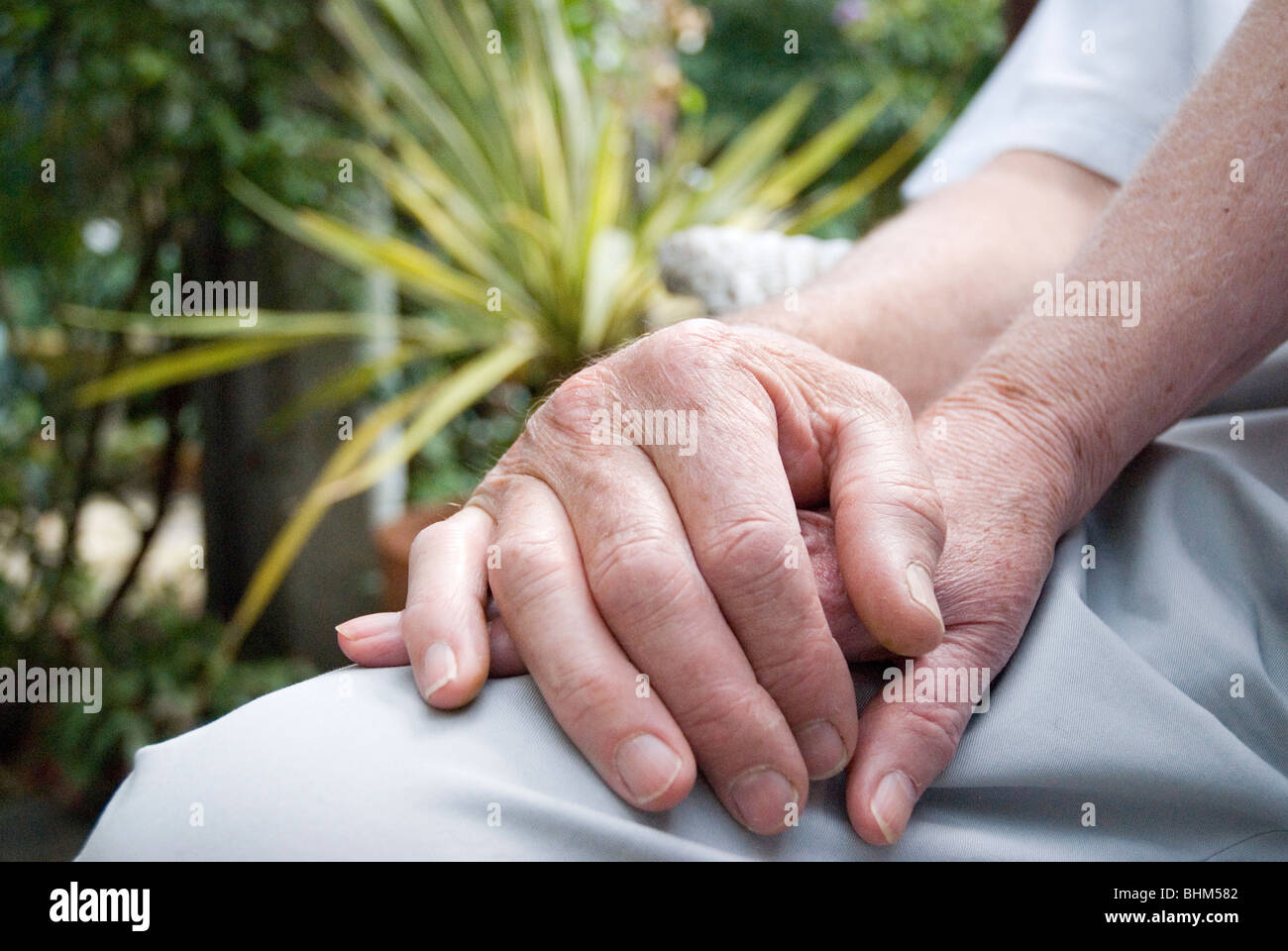 Cropped shot of hands. Elderly couple holding hands. Elderly hands ...