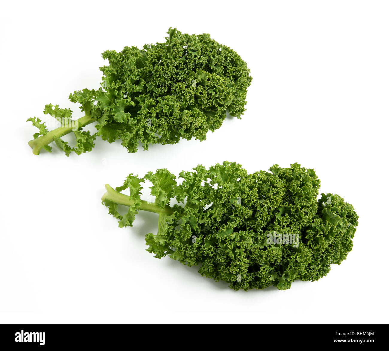 Fresh green kale in Cut Out Stock Images & Pictures - Alamy