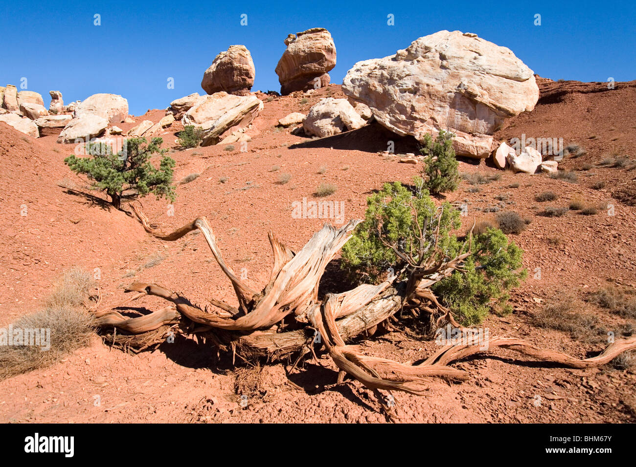 The Twin Rocks in Capitol Reef National Park, Utah Stock Photo - Alamy