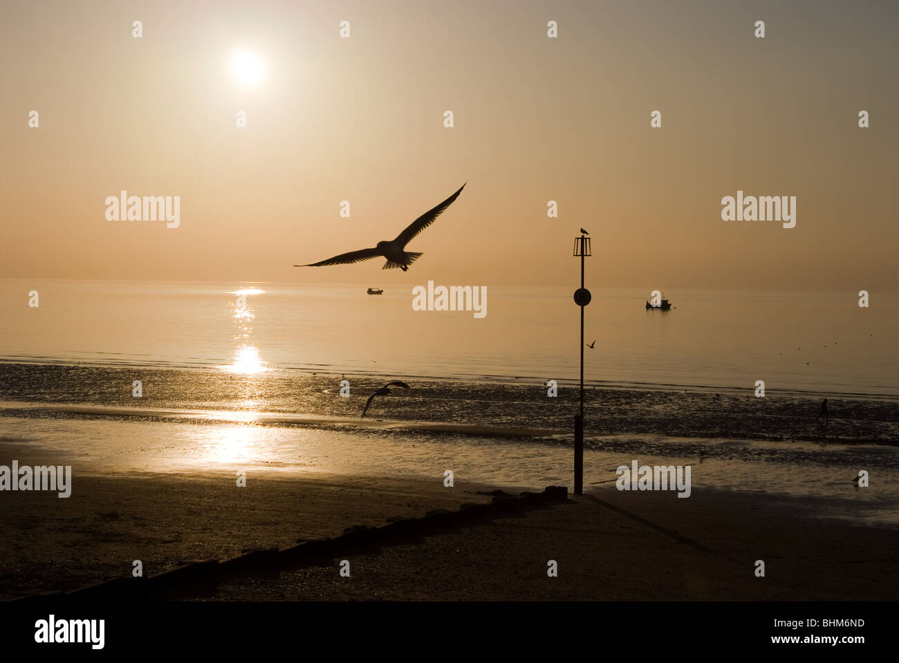 Sun going down on the beach hi-res stock photography and images - Alamy