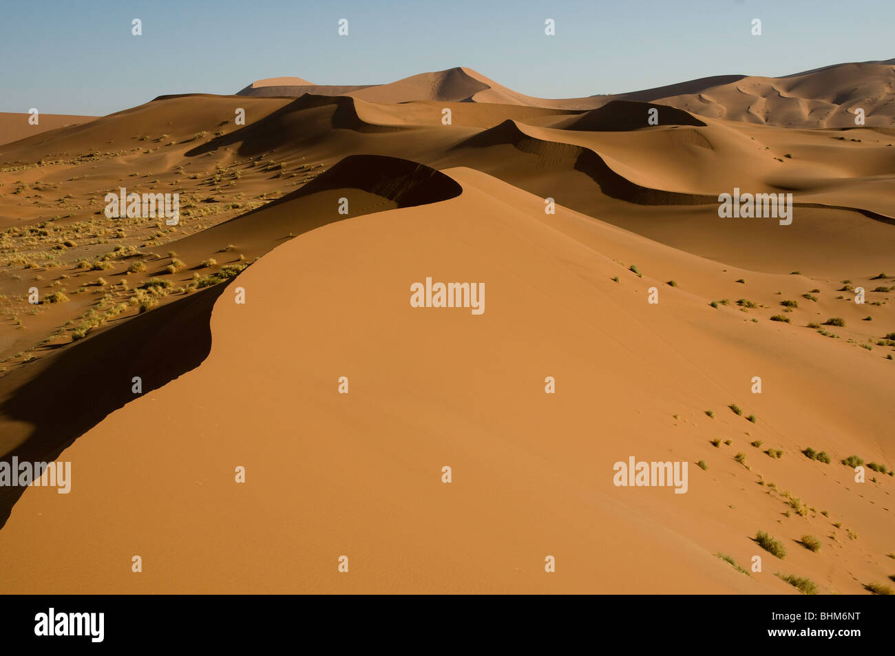 Gemsbok running between high dunes in the Namib Desert. Orix antelopes ...