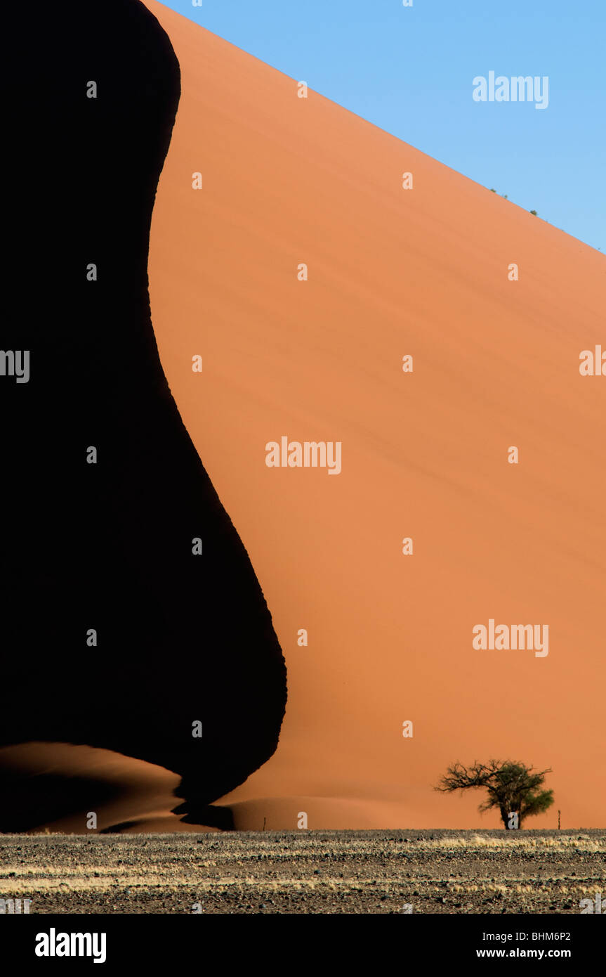 Gemsbok running between high dunes in the Namib Desert. Orix antelopes ...