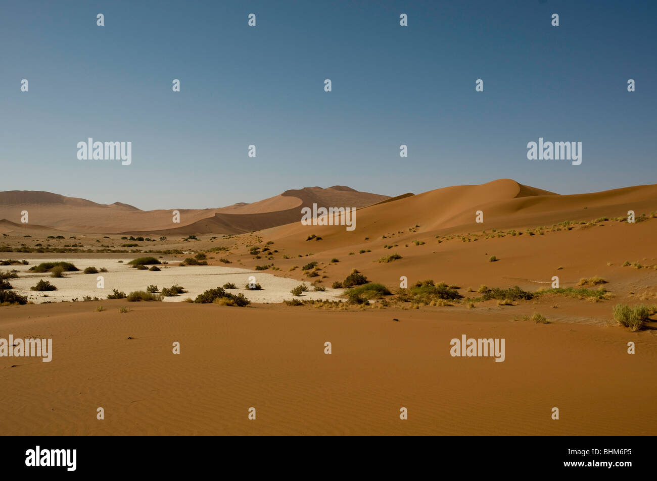 Red dunes in Namib desert Stock Photo - Alamy