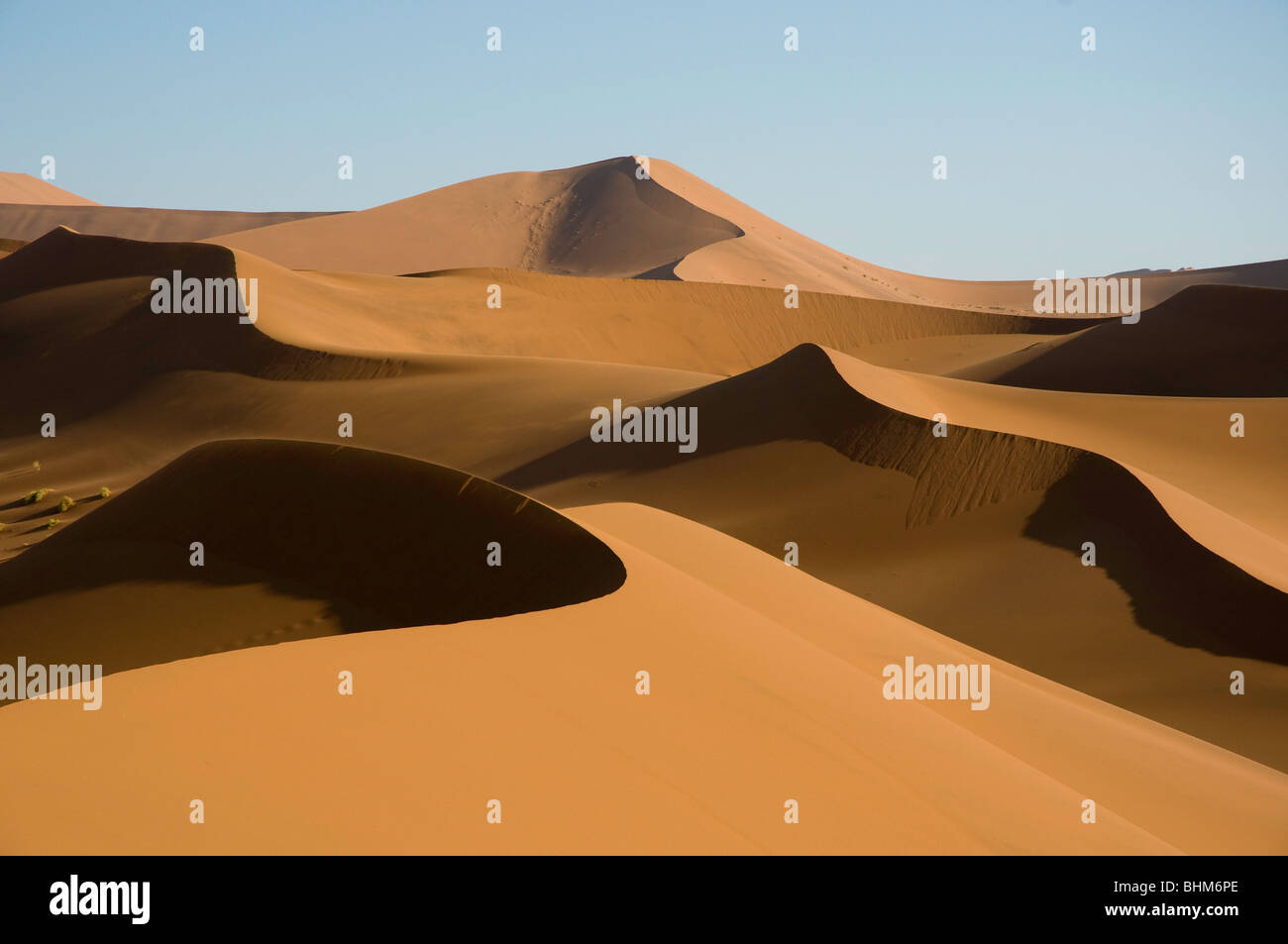 Golden dunes in Namib desert Stock Photo - Alamy
