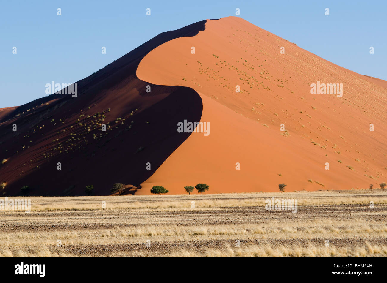Red "star dune" in Namib desert, Namibia, Africa. S-shaped shadow. Dry ...