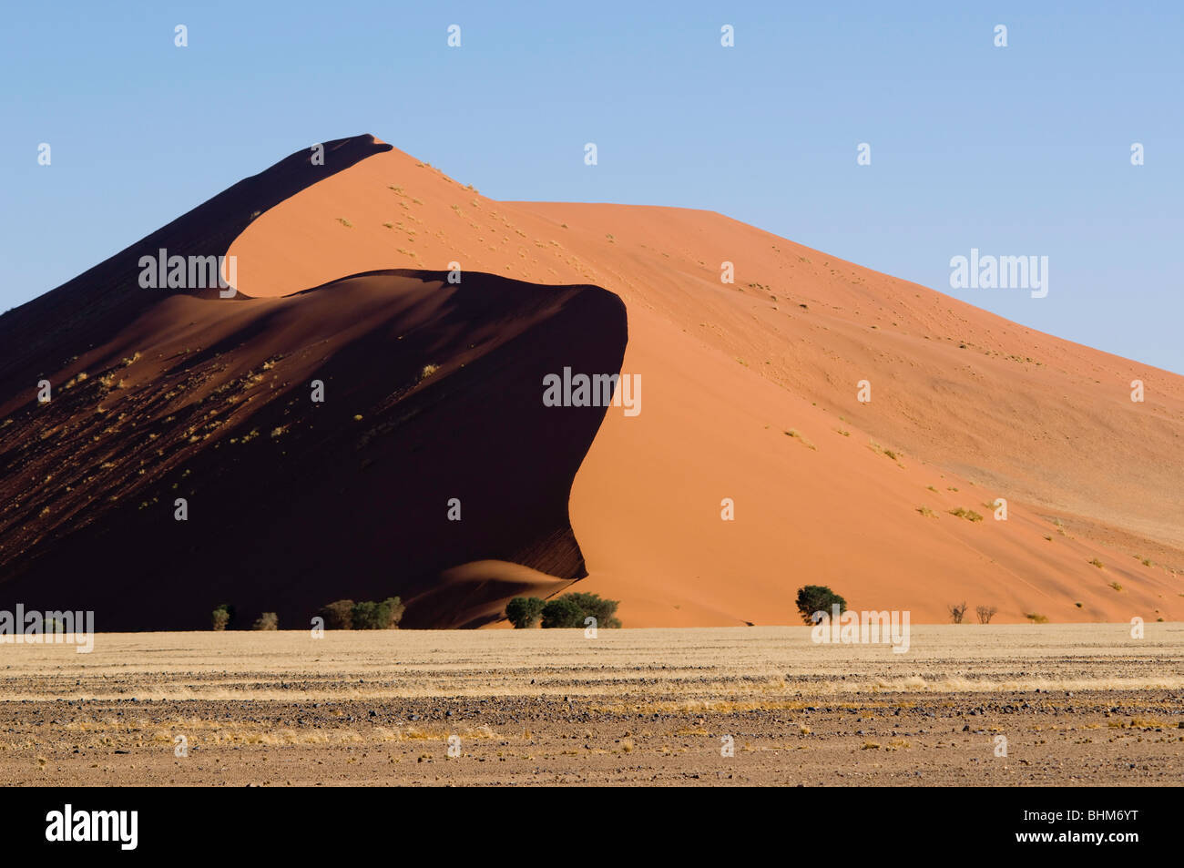 Red "star dune" in Namib desert, Namibia, Africa. S-shaped shadow. Dry ...