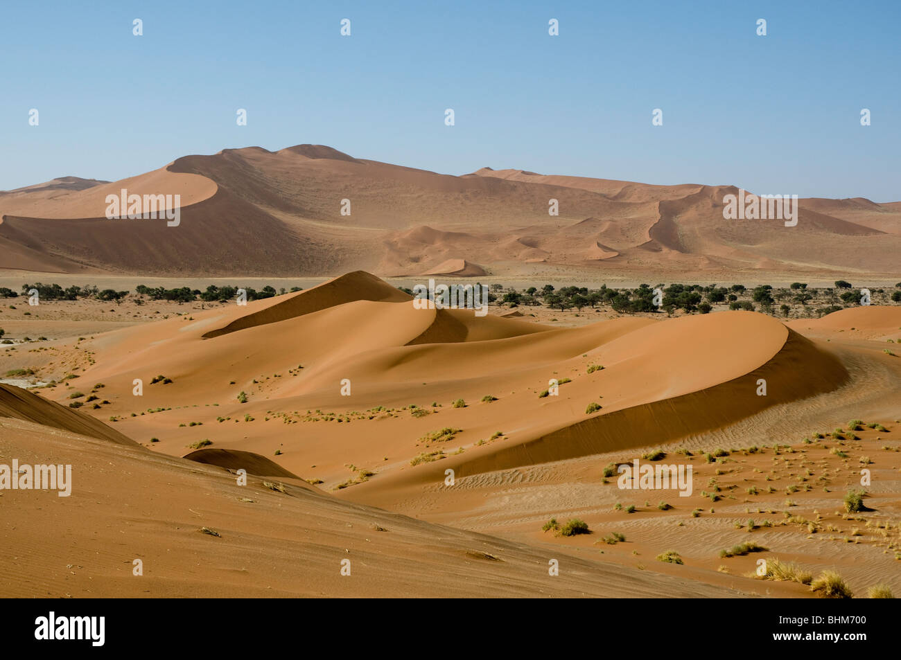 High red sand dunes hi-res stock photography and images - Alamy