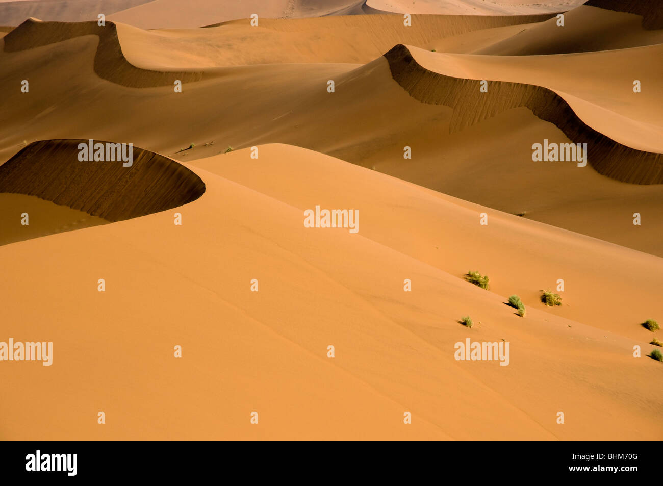 Red sand dunes, Namib desert, Namibia, Africa Stock Photo - Alamy