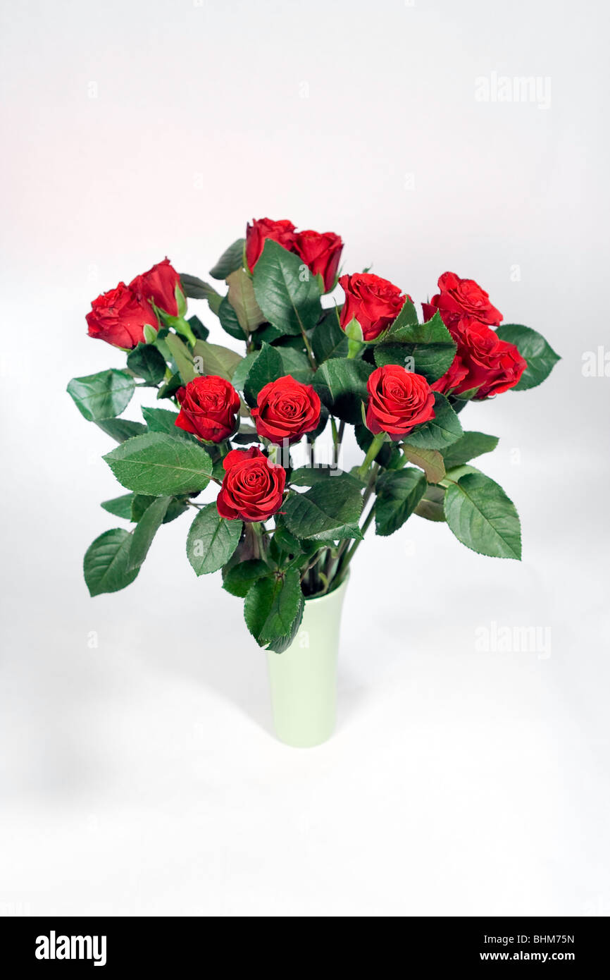 A vase of roses Stock Photo - Alamy