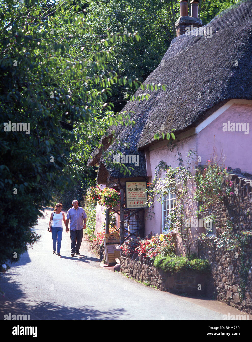 Cockington village devon hi-res stock photography and images - Alamy