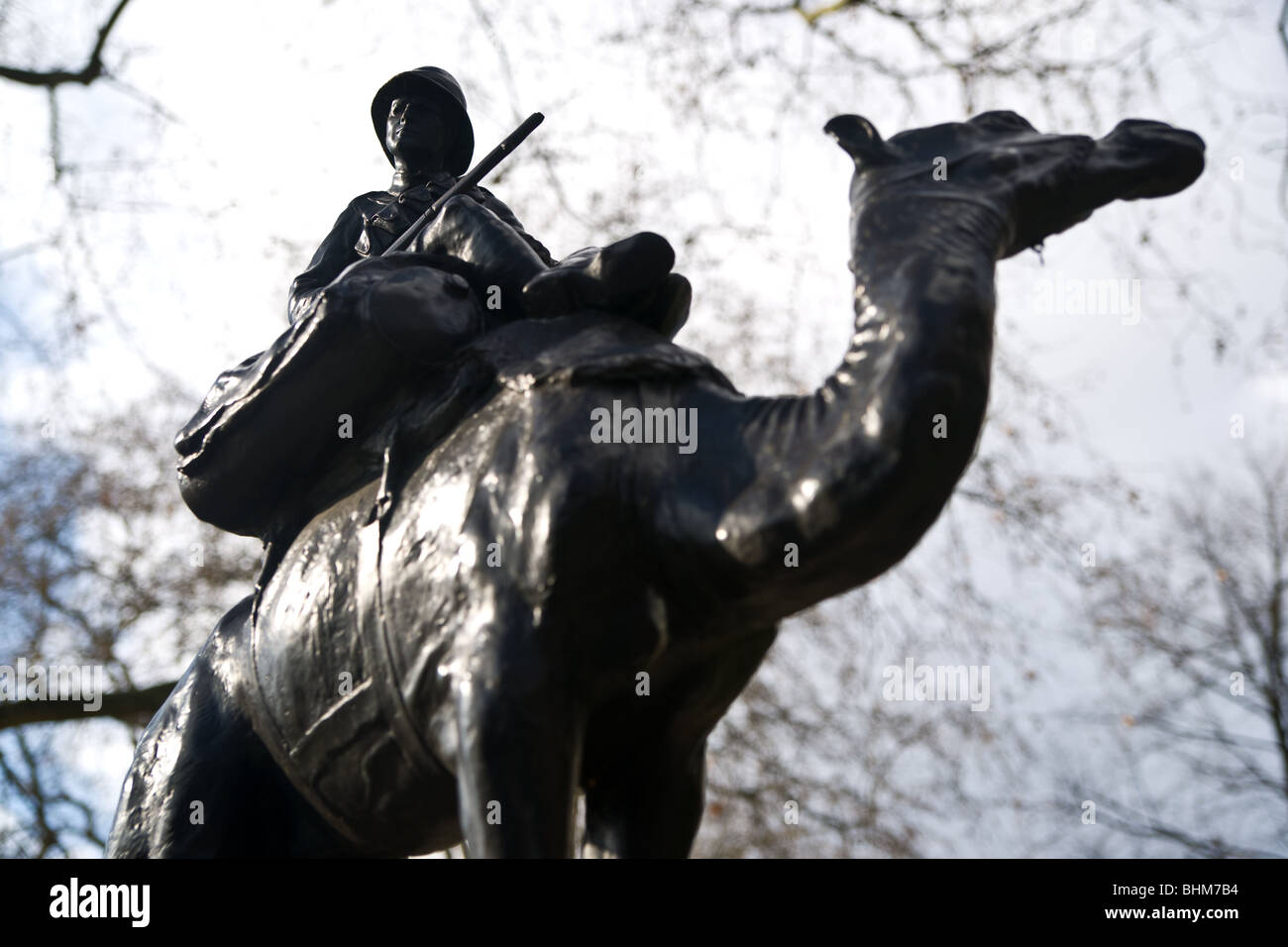 Camel Corps Memorial, London Stock Photo - Alamy