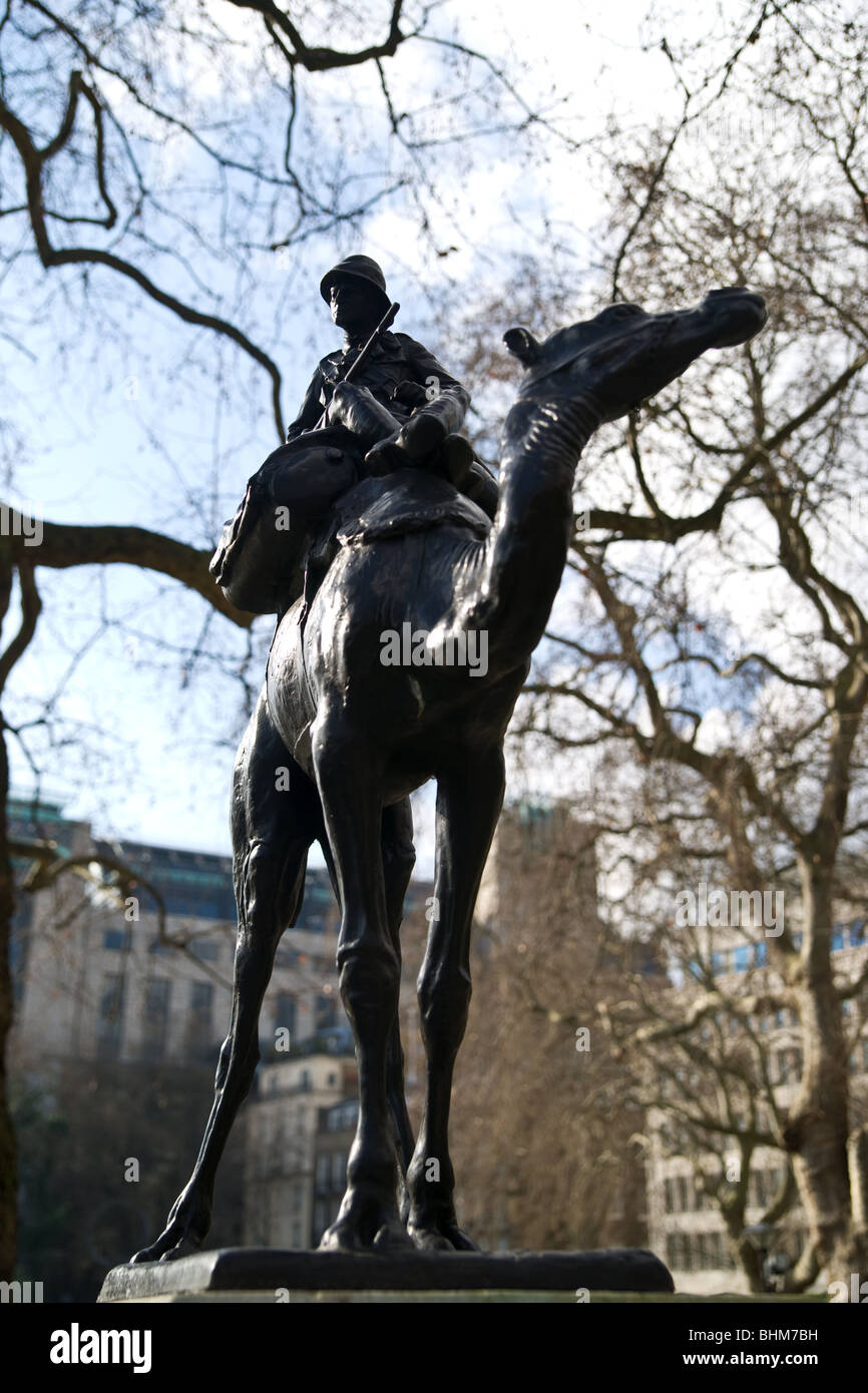 Camel Corps Memorial, London Stock Photo - Alamy