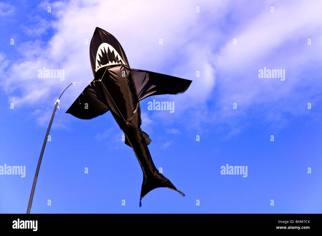Balloon shark hi-res stock photography and images - Alamy
