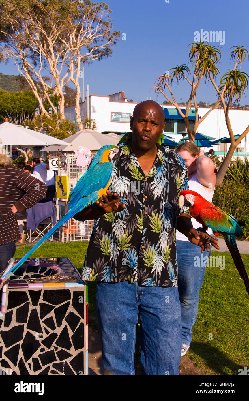 Man with parrots Stock Photo - Alamy