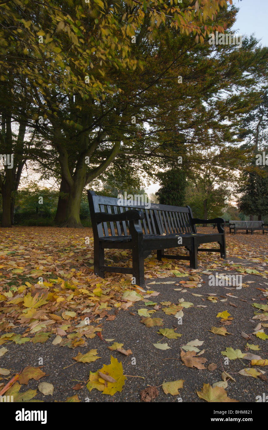 An empty park bench in a park at autumn Stock Photo - Alamy