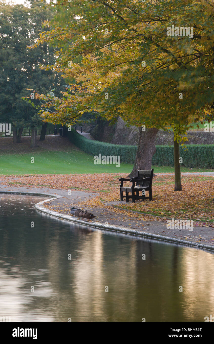 A park bench next to a lake in a park at autumn Stock Photo - Alamy
