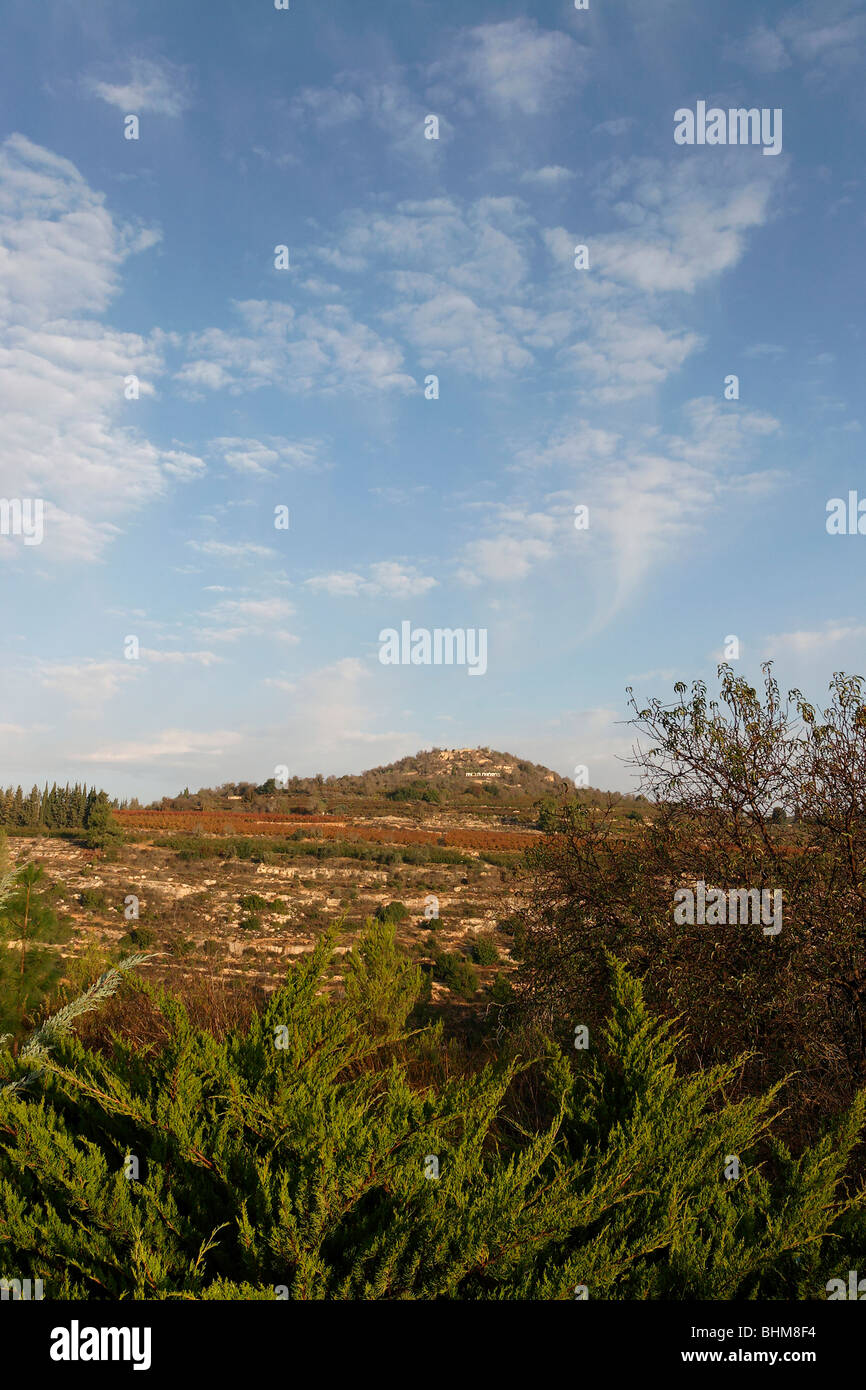 Tzuba hi-res stock photography and images - Alamy