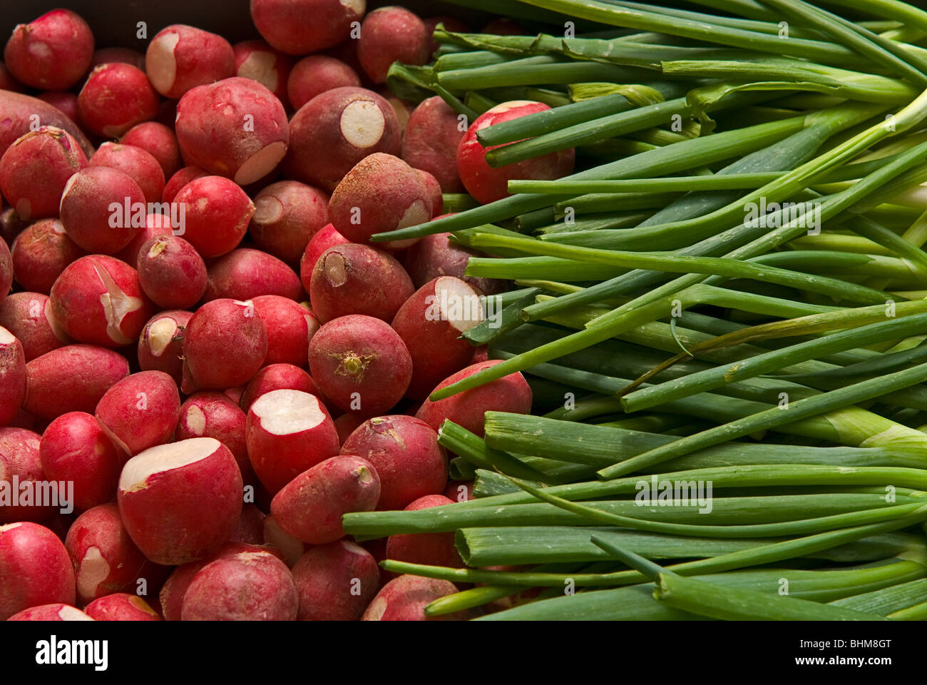 Rabanillo hi-res stock photography and images - Alamy