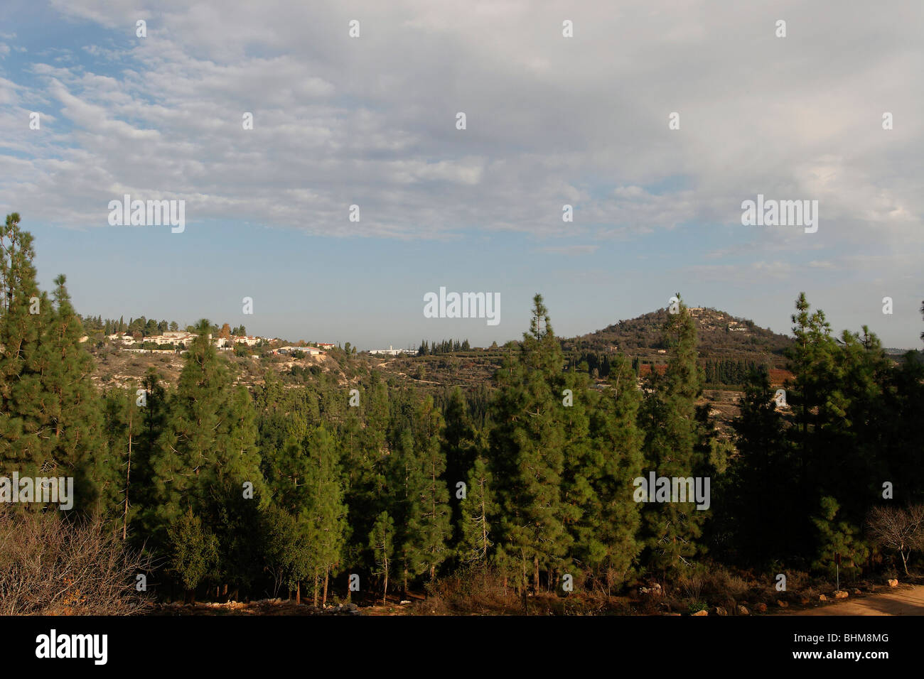 Kibbutz tzuba hi-res stock photography and images - Alamy