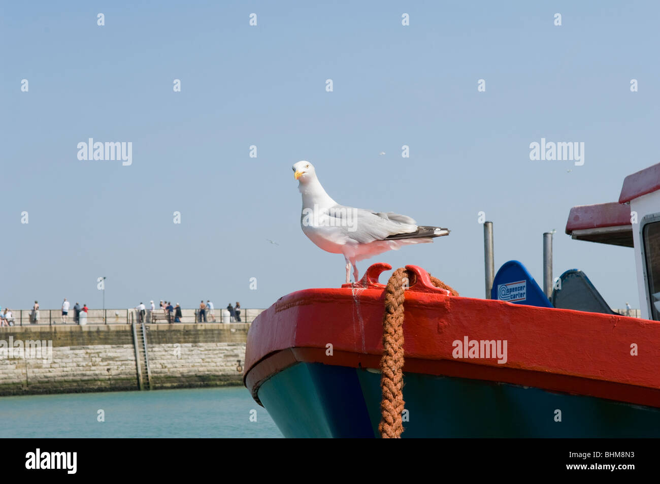 Royal herring hi-res stock photography and images - Alamy