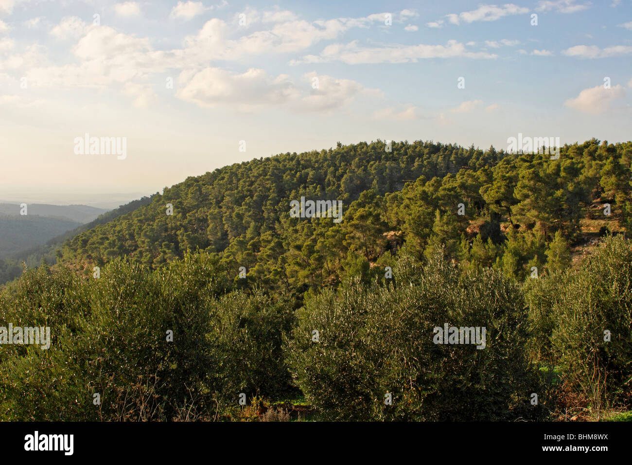 Israel, Jerusalem Mountains. A view of Mount Haruach Stock Photo - Alamy