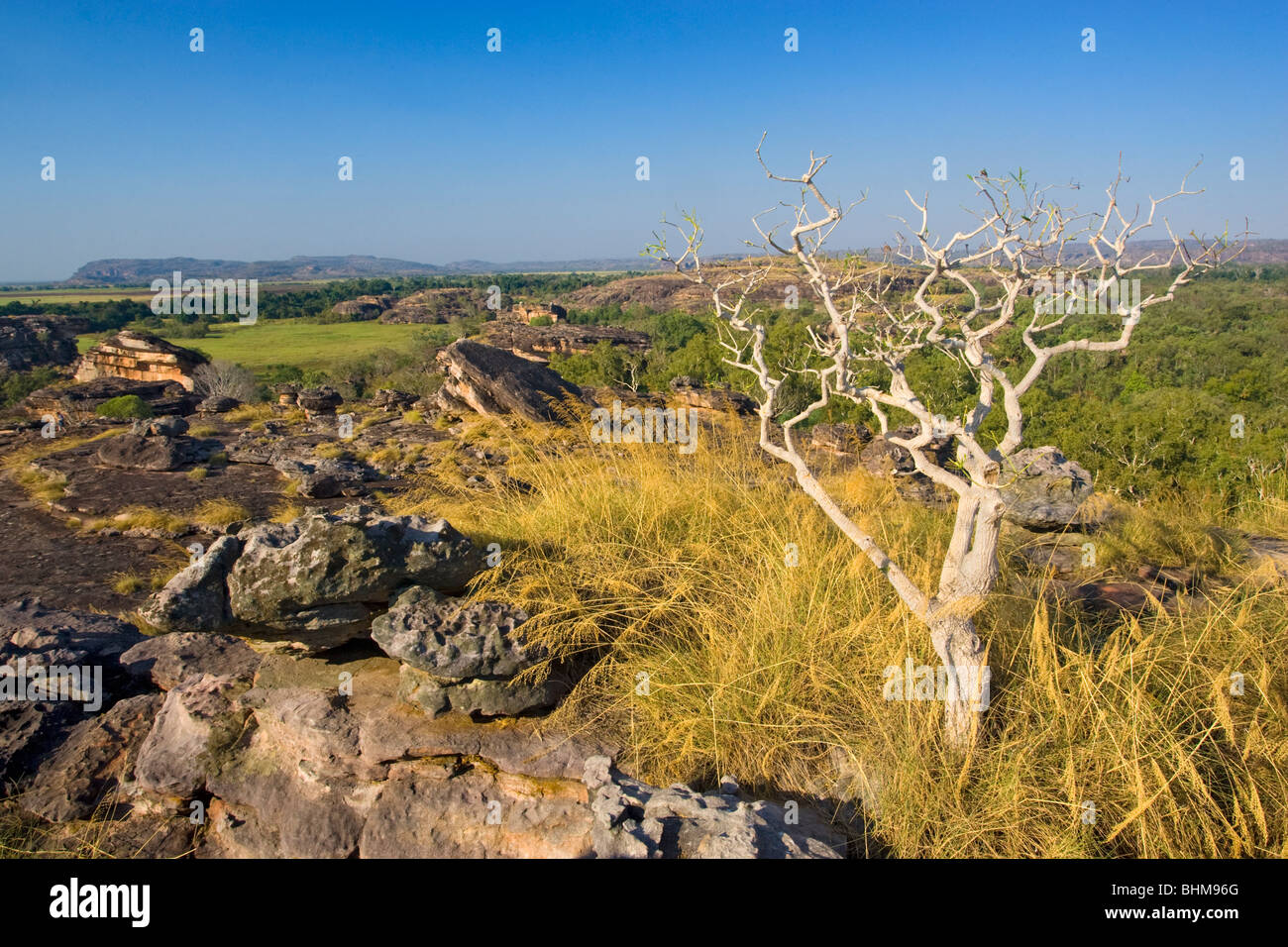 Kakadu landscape from the summit of Ubirr Stock Photo - Alamy