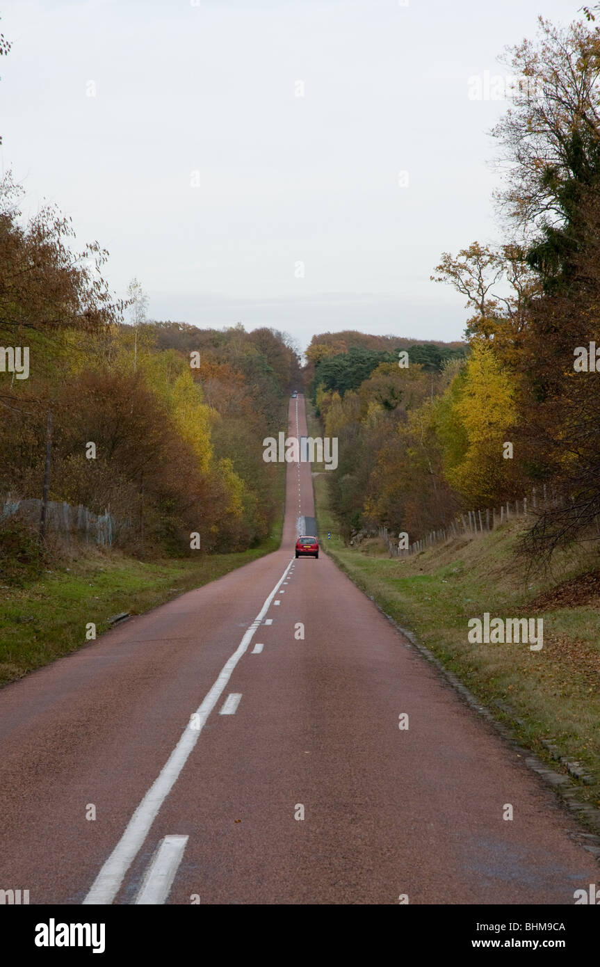 A red forest's road in autumn Stock Photo - Alamy