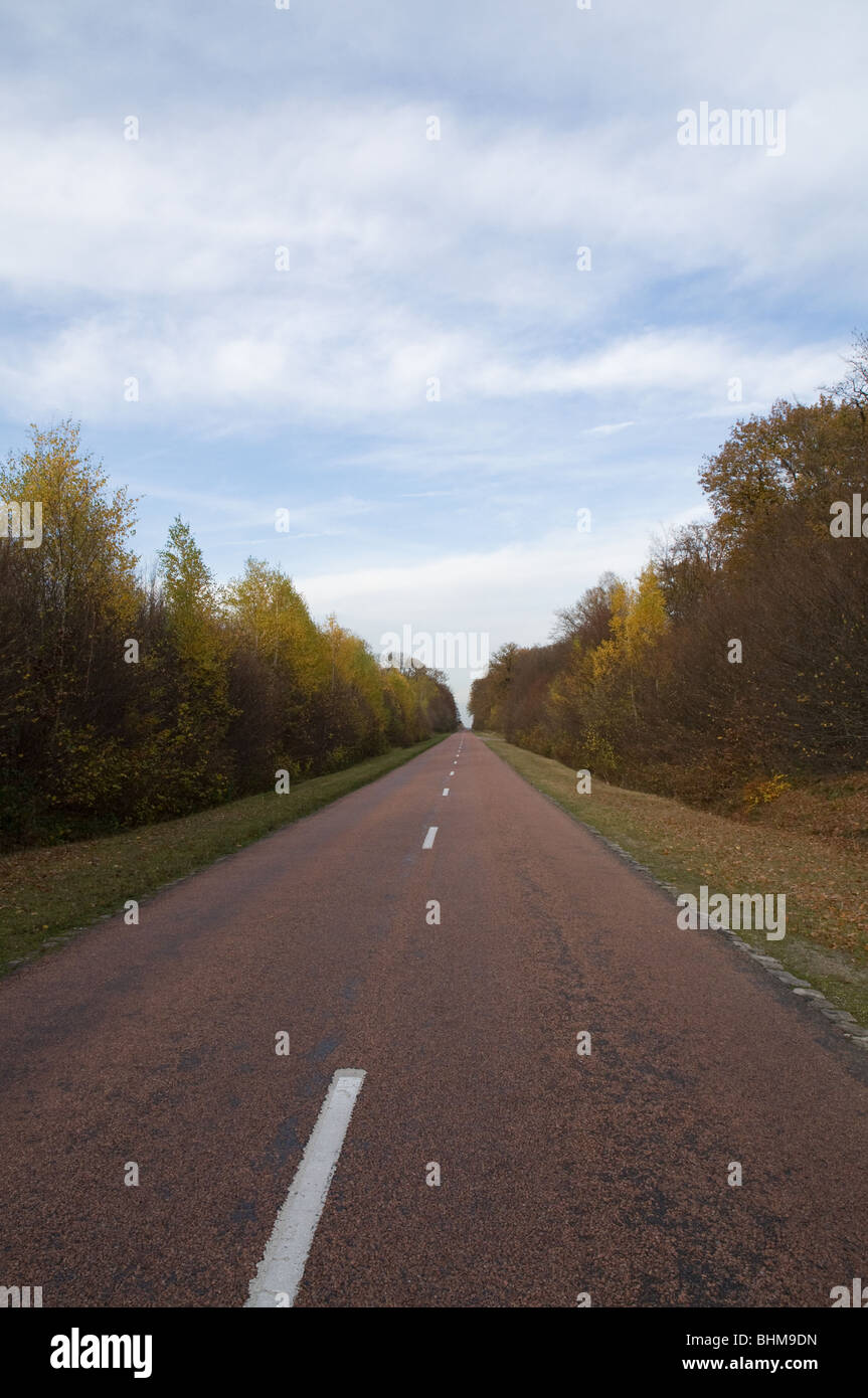 A red forest's road in autumn Stock Photo - Alamy