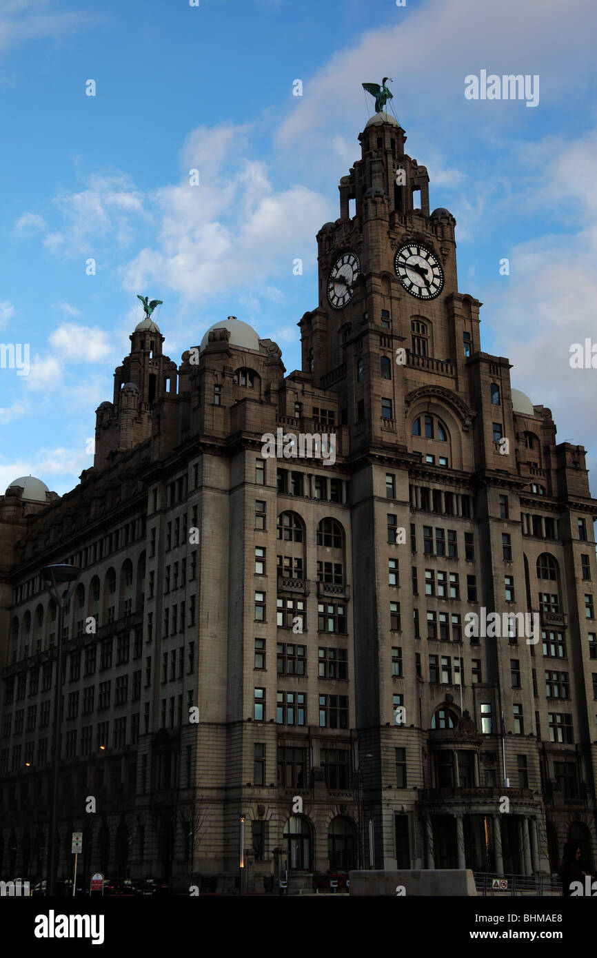 Liver Clock High Resolution Stock Photography and Images - Alamy