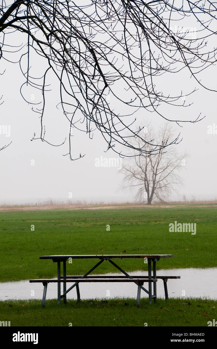 Vertical view of Misty foggy spring day with lone picnic table in front ...