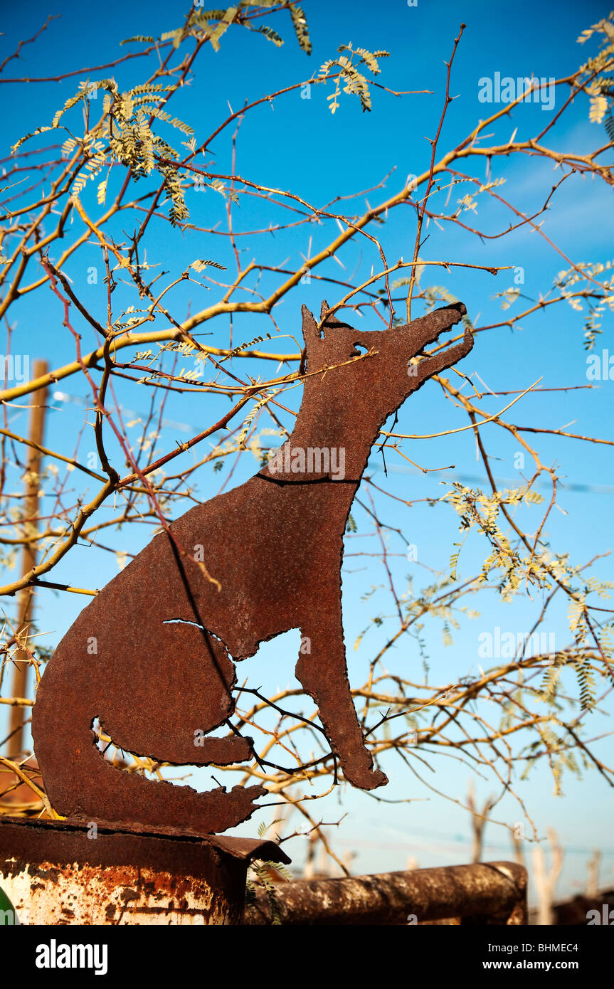 Coyote and road sign hi-res stock photography and images - Alamy