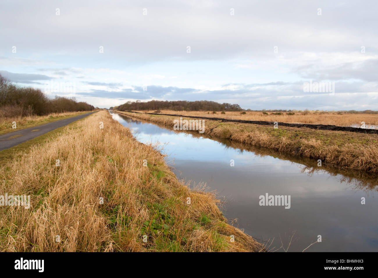 Shapwick moor hi-res stock photography and images - Alamy