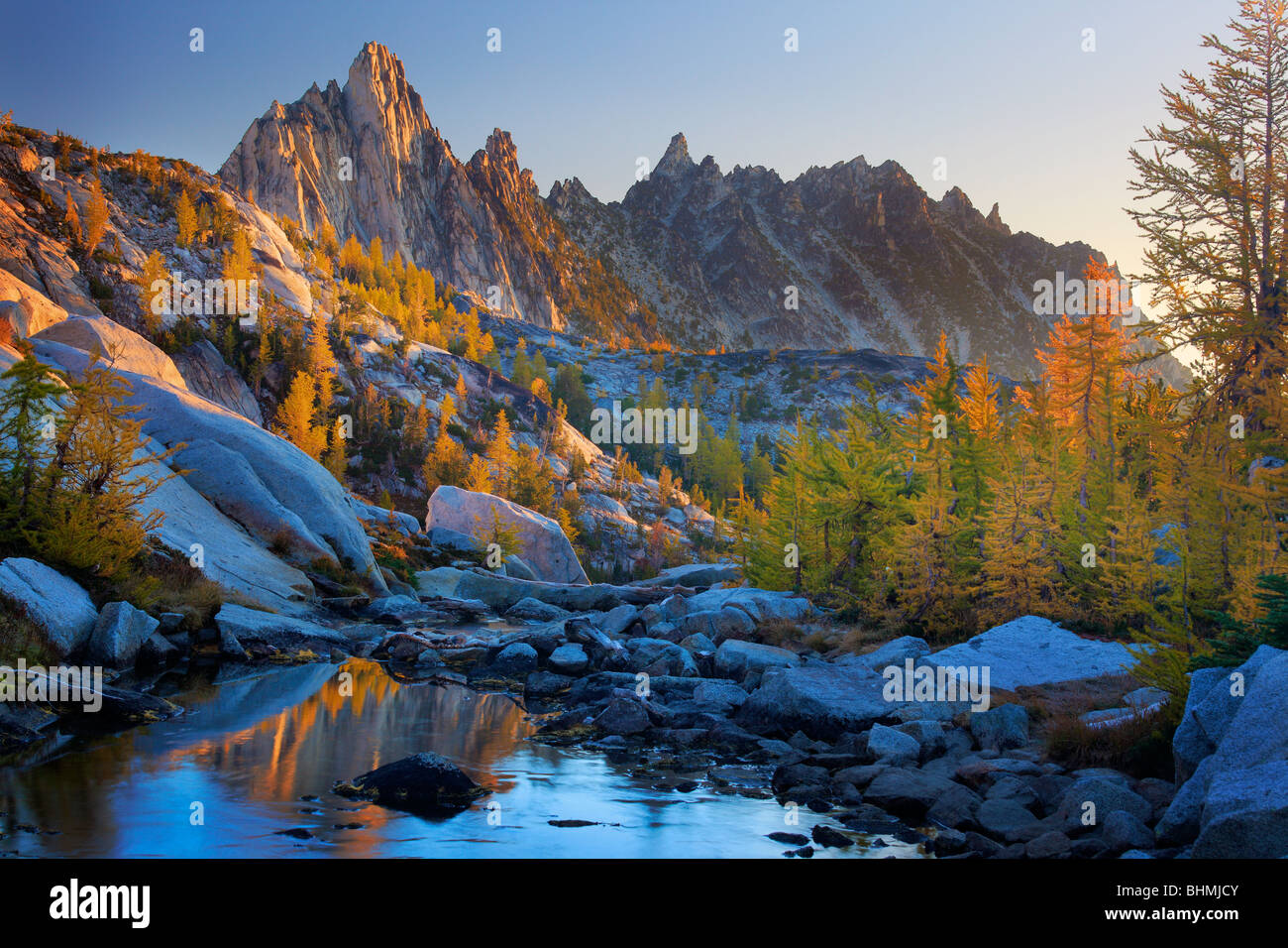 Larch trees at Enchantment Lakes Stock Photo - Alamy