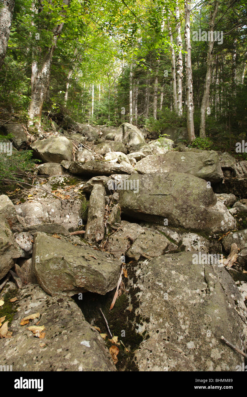 Dried up brook hi-res stock photography and images - Alamy
