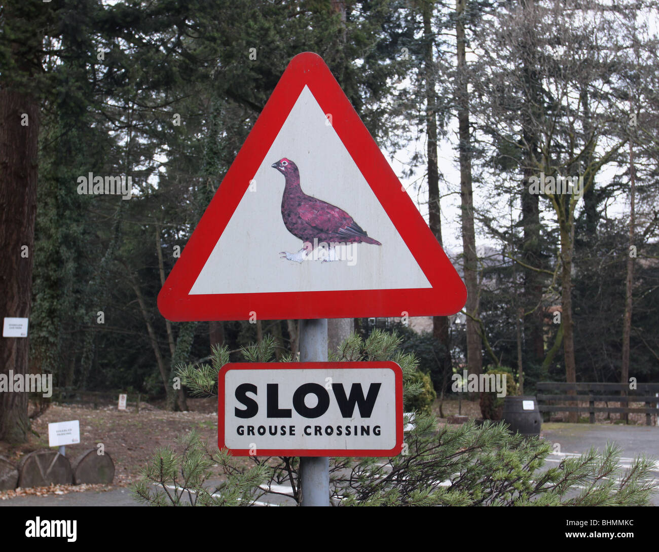 Grouse crossing sign at The Famous Grouse Experience Glenturret ...