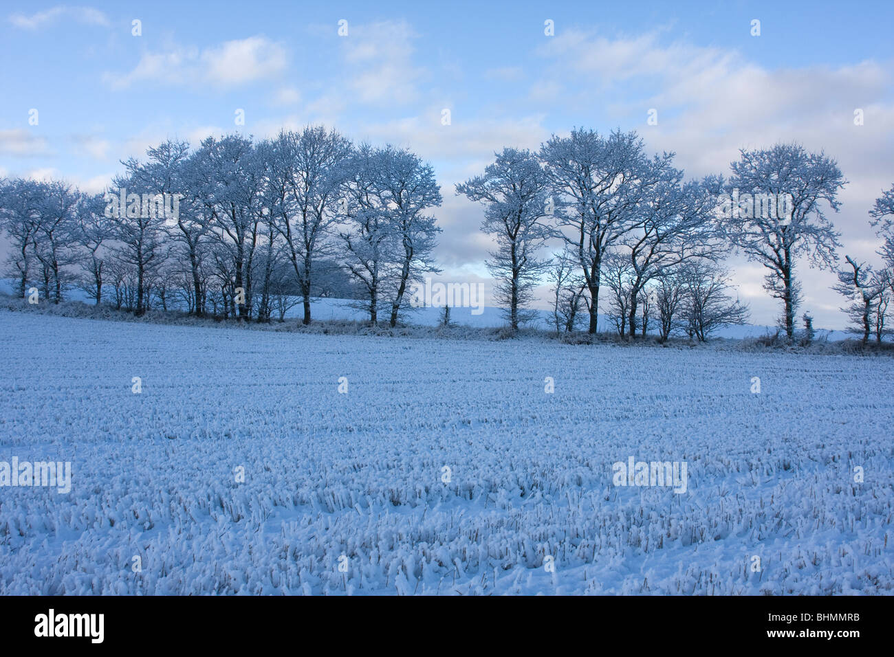 Field in the winter Stock Photo - Alamy