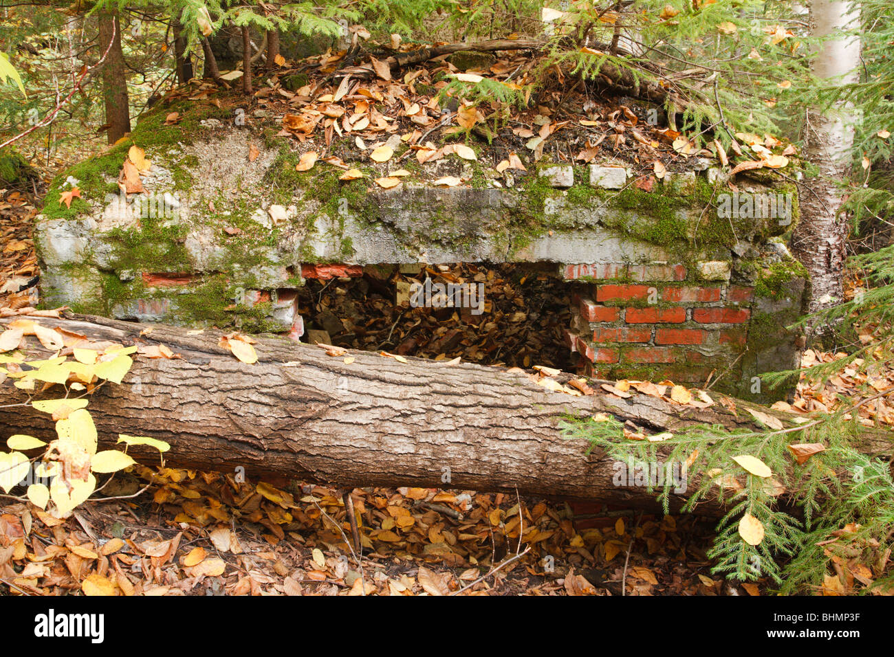 Nancy Brook Scenic Area - Remnants of "Lucy Mill" along Nancy Pond ...