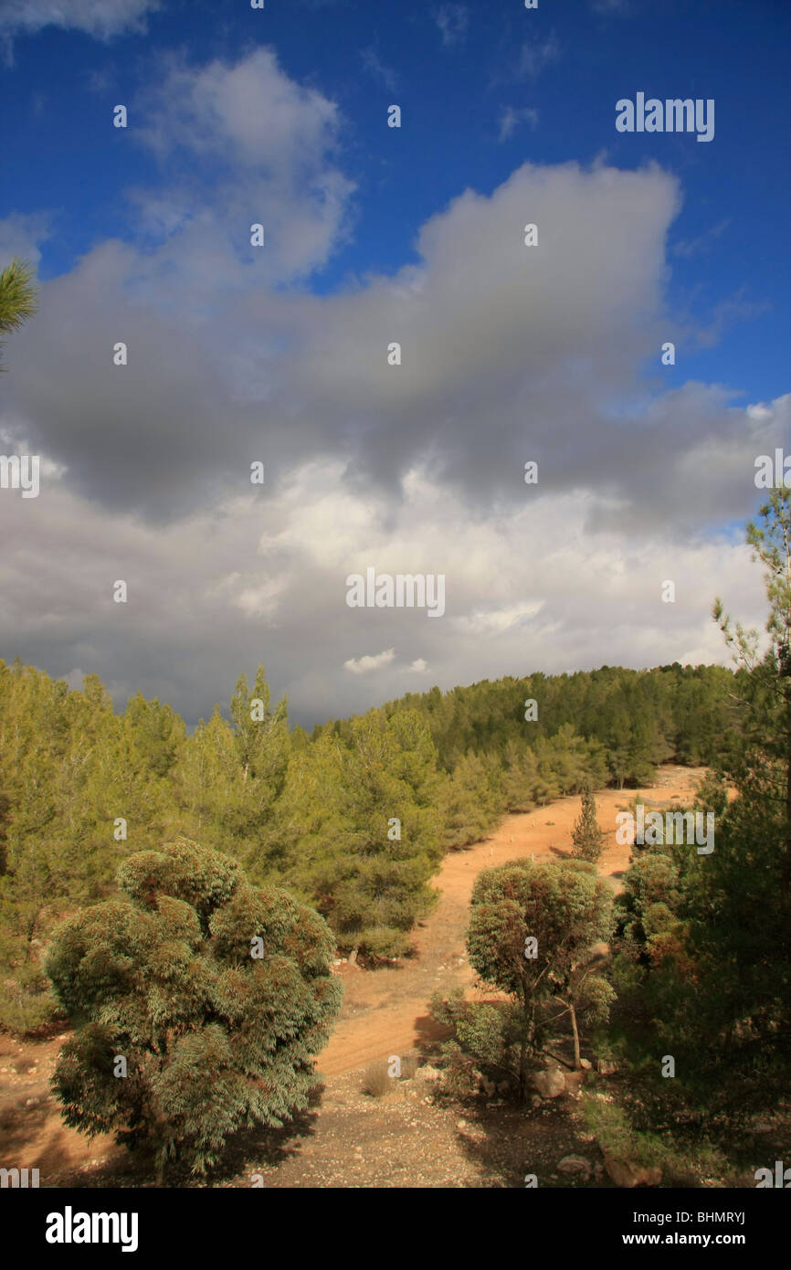 Yatir hi-res stock photography and images - Alamy