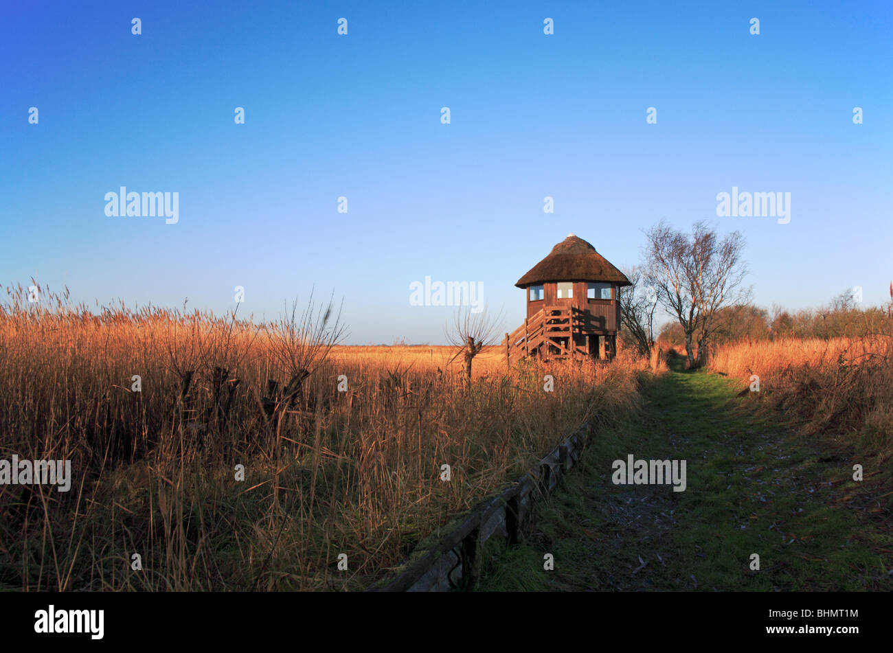 Wooden bird watching hut hi-res stock photography and images - Alamy