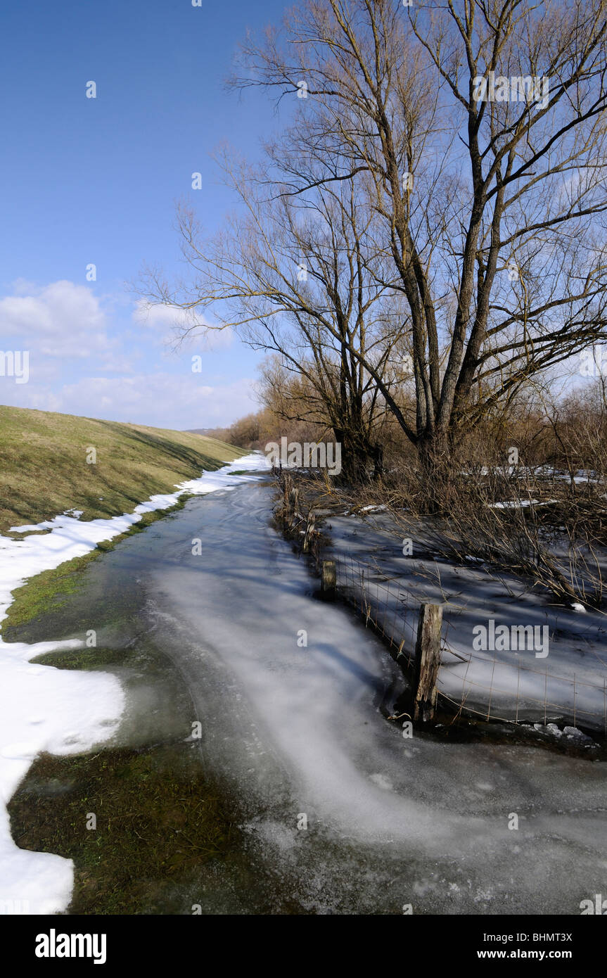 Water which is poured out into the woods and freeze Stock Photo - Alamy