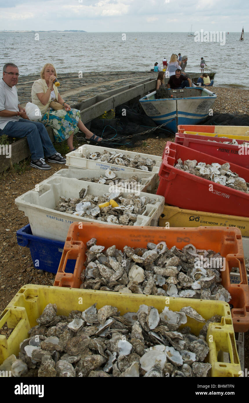 Empty whitstable oyster shells hi-res stock photography and images - Alamy