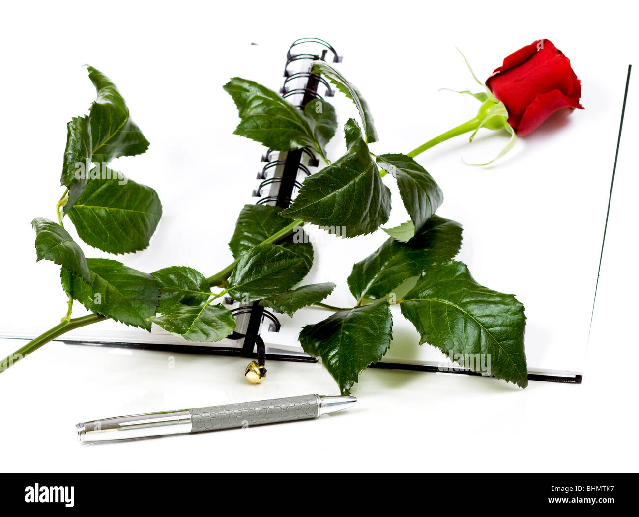Red rose on the notebook, isolated on white background Stock Photo - Alamy