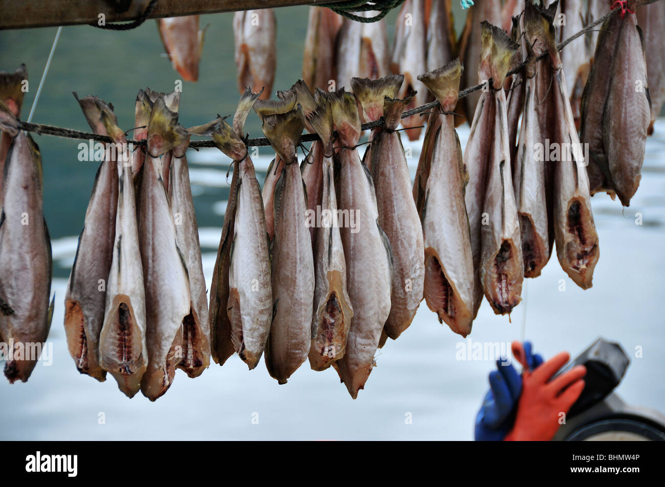 Faroe islands fishing boat hi-res stock photography and images - Alamy
