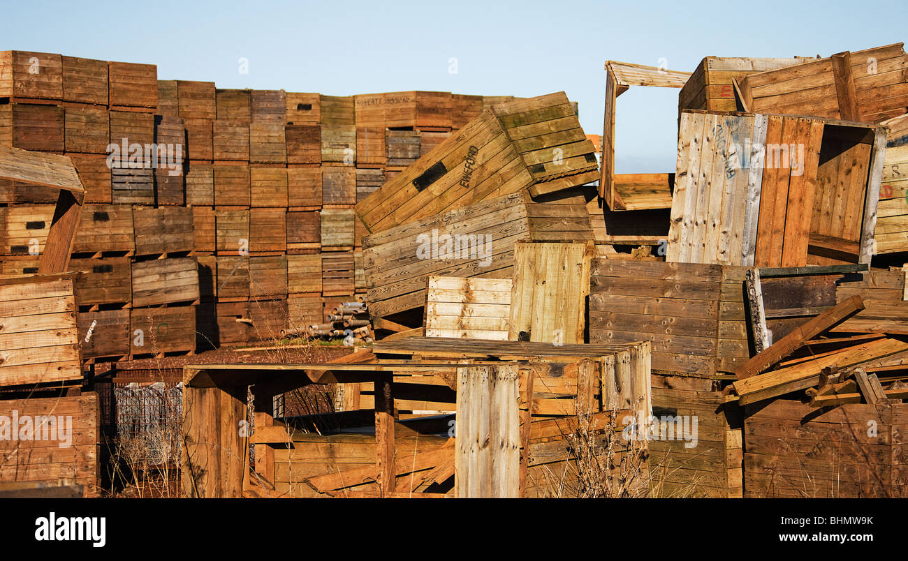 Potato storage boxes hi-res stock photography and images - Alamy