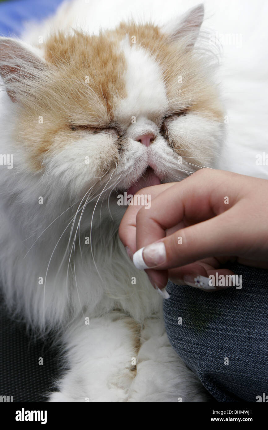 Spread of rabies hi-res stock photography and images - Alamy