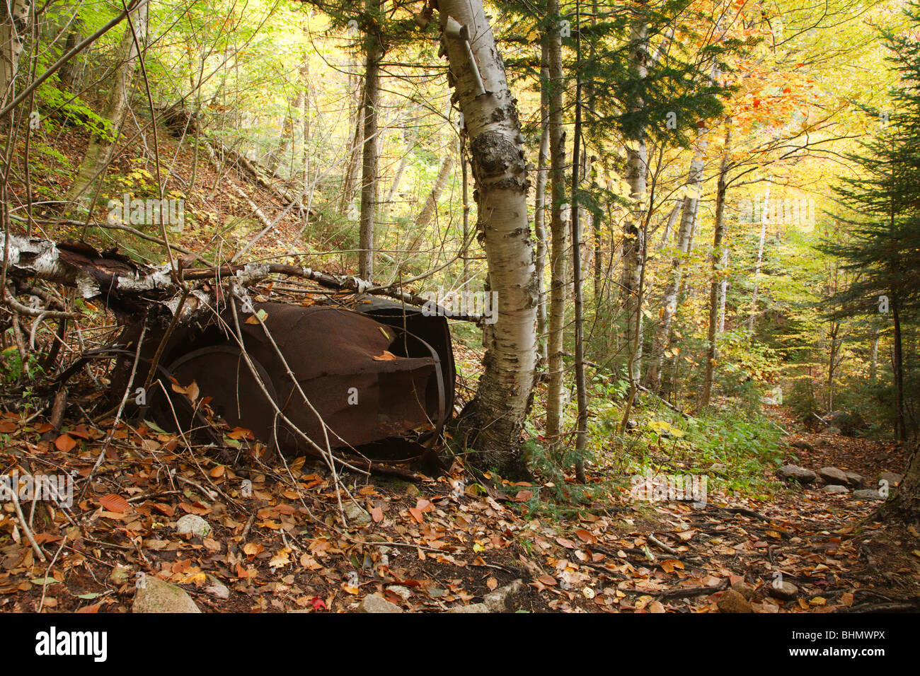 Nancy Brook Scenic Area - Remnants of "Lucy Mill" along Nancy Pond ...