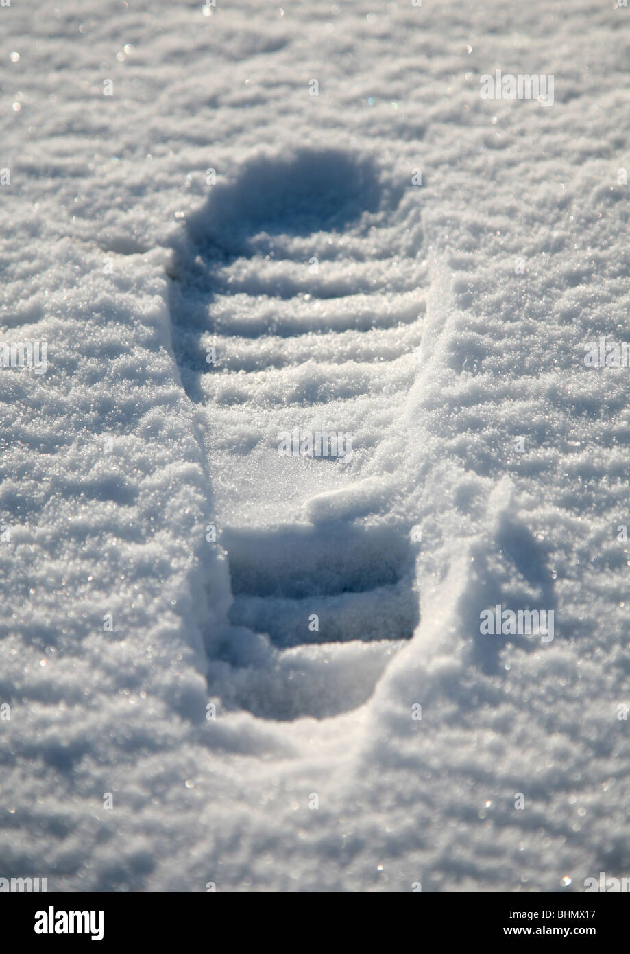 footprint in the snow Stock Photo - Alamy